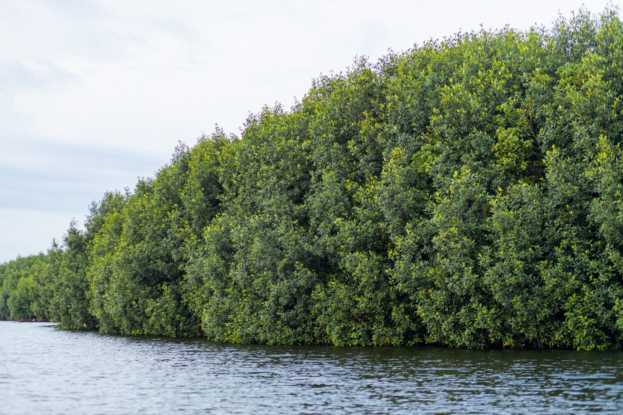 About Us – Chill River Resort